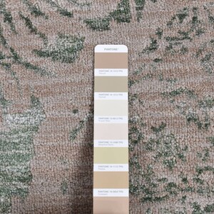 Exquisite Sage Green Color, Original Erased Contemprary Collection Rug ...