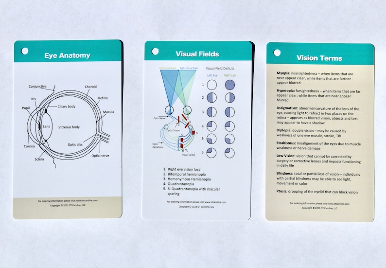 2nd Edition Vision Expansion / Pediatric Pocket Guide for Occupational ...