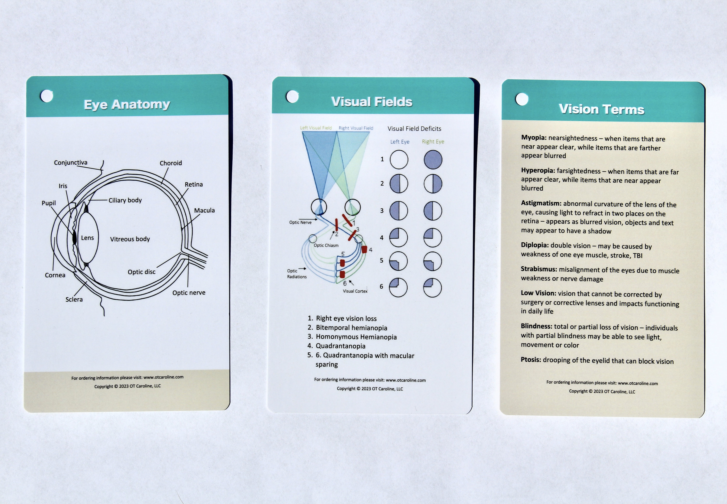 2nd Edition Vision Expansion / Pediatric Pocket Guide for Occupational ...