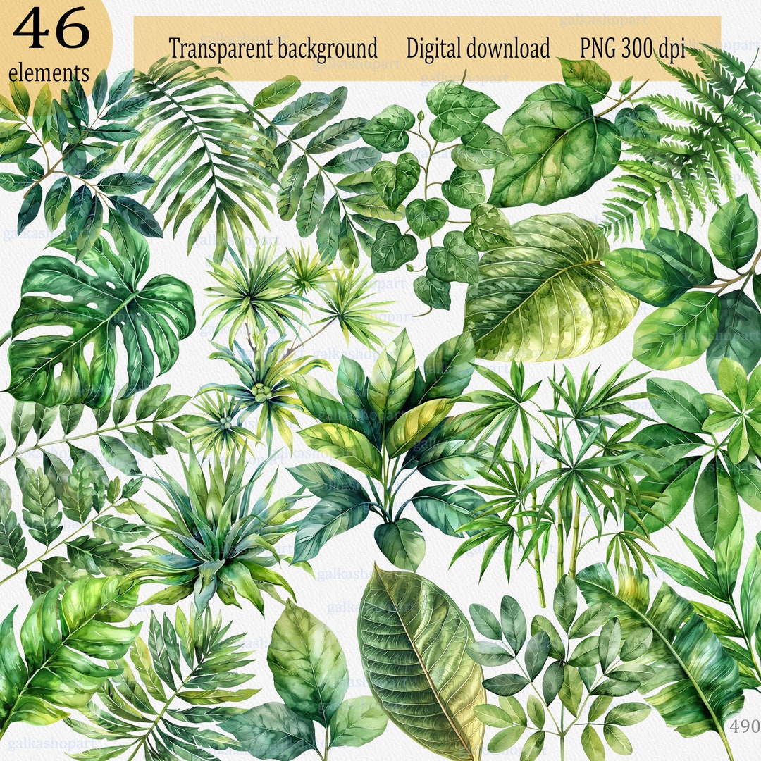 Watercolor Tropical Leaf PNG Clipart: Jungle Greens Greenery Graphics ...