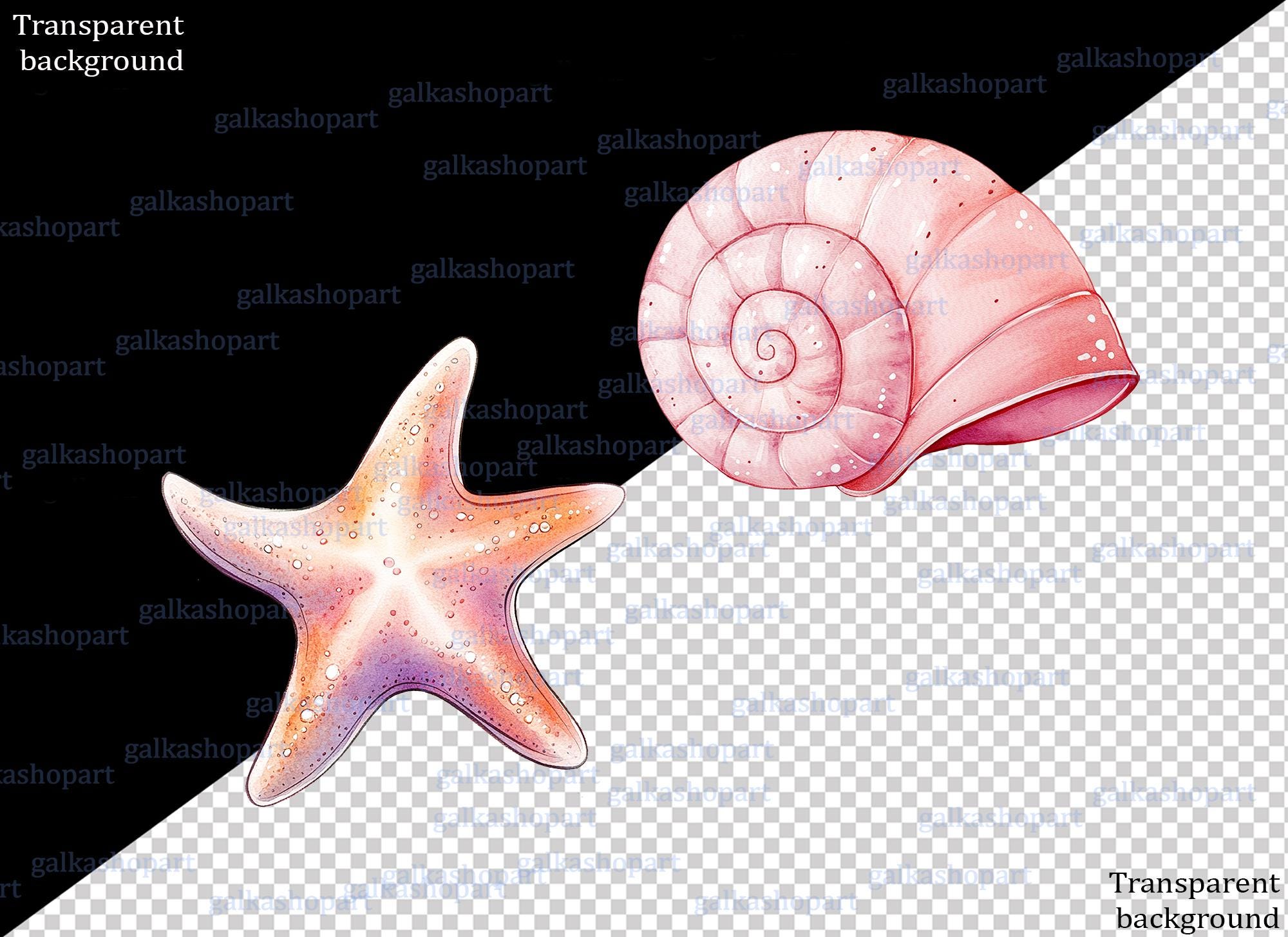 Sea Life & Mermaid Clipart PNG – Watercolor Ocean Animals, Glitter ...