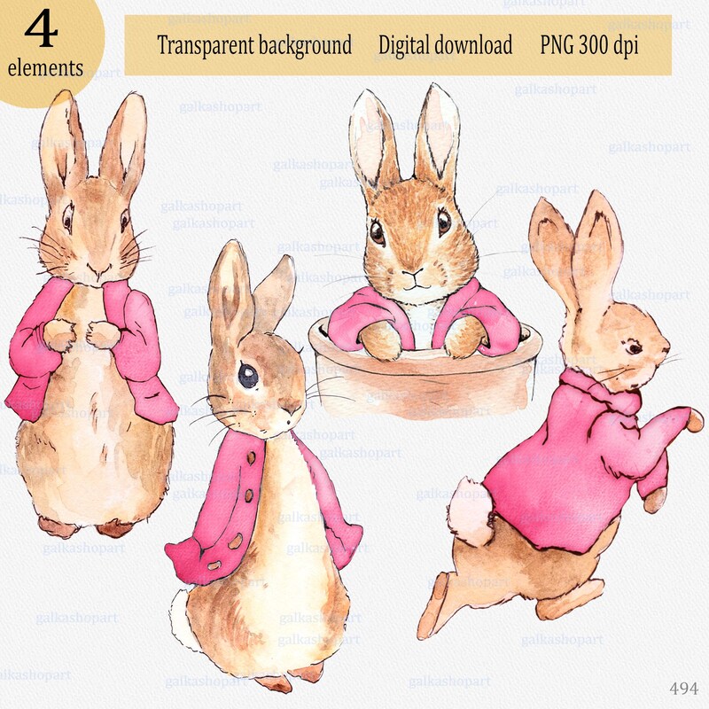 Peter Rabbit Png - Etsy