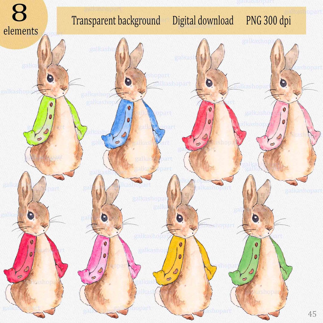 Flopsy Bunny in Blouses of Different Colors, Peter Rabbit Sublimation ...