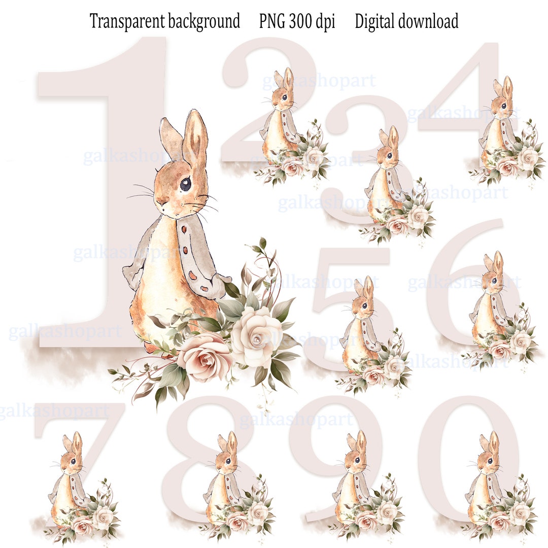 Peter Rabbit Numbers Clipart: Set of 10 Individual Beige Numeral ...
