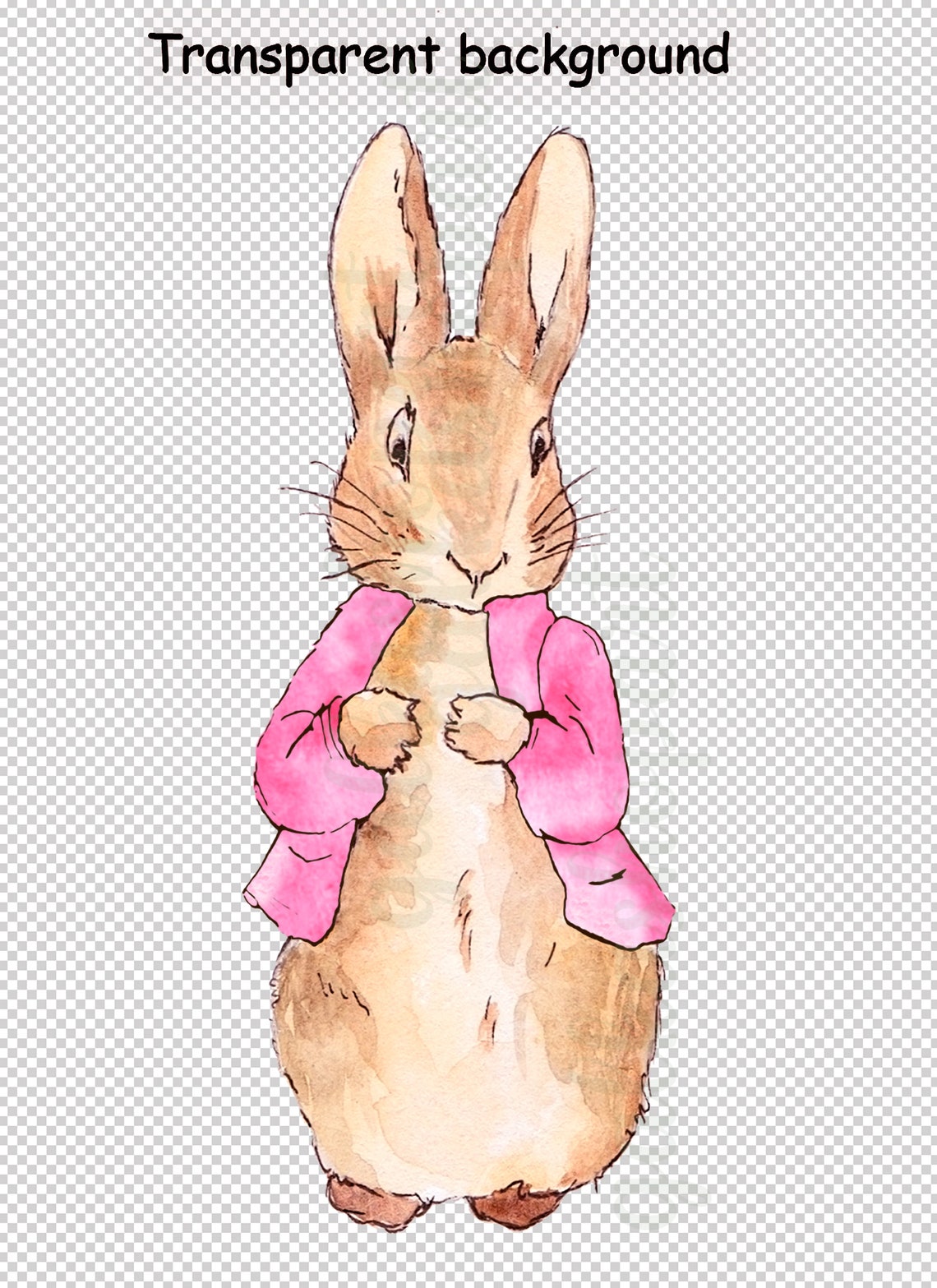 Peter Rabbit and Flopsy Bunny in Pink Jacket for Sublimation - Etsy