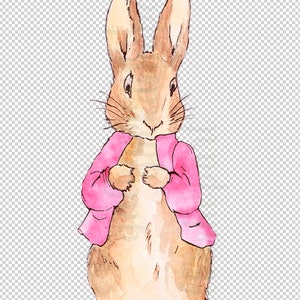 Peter Rabbit and Flopsy Bunny in Pink Jacket for Sublimation, A3 ...