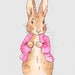 Peter Rabbit and Flopsy Bunny in Pink Jacket for Sublimation, A3 ...