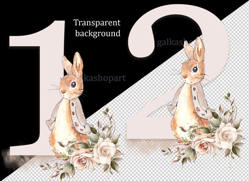Peter Rabbit Numbers Clipart: Set of 10 Individual Beige - Etsy