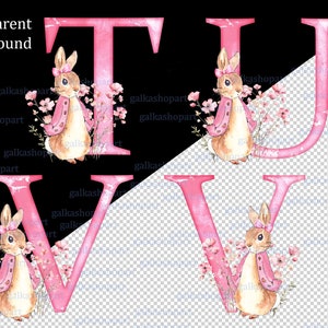 Peter Rabbit Pink Alphabet & Numeral Clipart PNG: 26 Watercolor ...