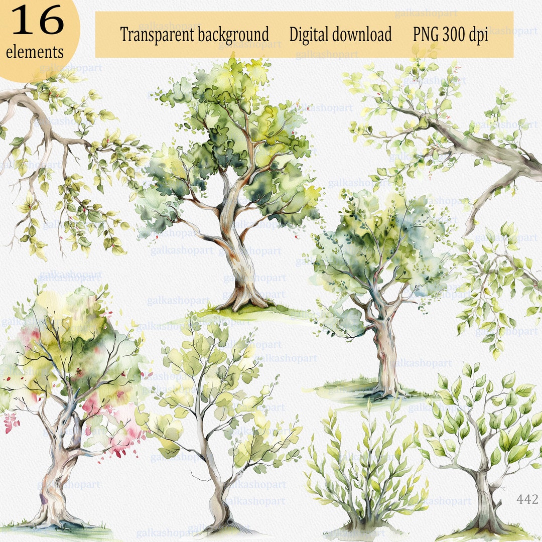 Watercolor Deciduous Trees and Forest Tree Branches and Bushes: Clipart ...