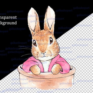 Peter Rabbit in Pink Jacket for Sublimation, Watercolor Clipart PNG ...