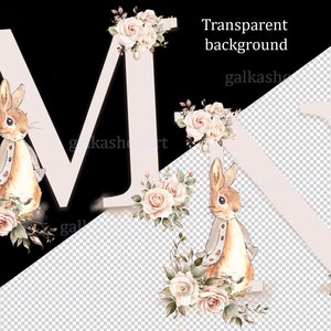 Peter Rabbit Beige Alphabet Clipart: Set of 26 Individual Letters With ...