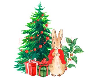 Peter Rabbit Transparent - Etsy