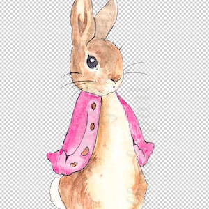 Peter Rabbit and Flopsy Bunny in Pink Jacket for Sublimation, A3 ...