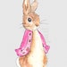 Peter Rabbit and Flopsy Bunny in Pink Jacket for Sublimation, A3 ...