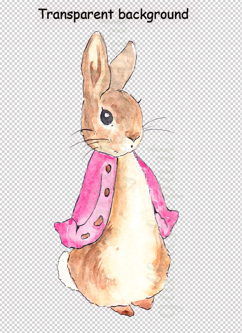 Peter Rabbit and Flopsy Bunny in Pink Jacket for Sublimation, A3 ...