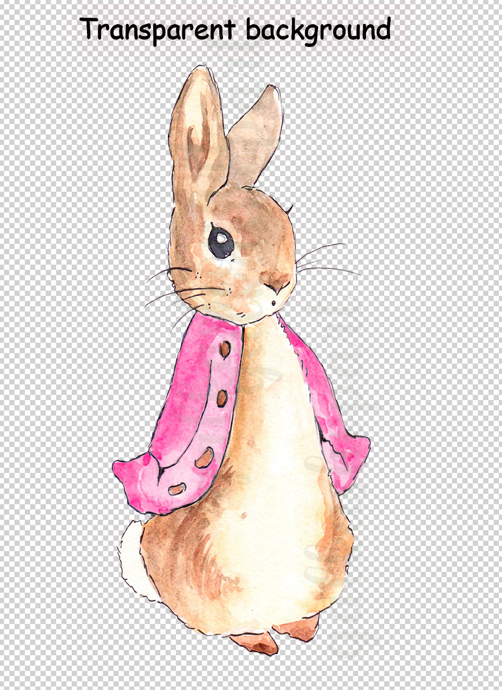 Peter Rabbit and Flopsy Bunny in Pink Jacket for Sublimation, A3 ...