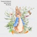 Clipart Peter Rabbit, Transparent PNG File, Greenery and Wildflowers ...