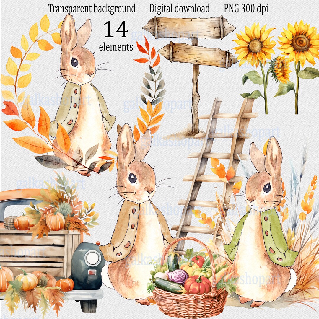 Fall Peter Rabbit Clipart Set of 14: Watercolor Flopsy Bunny and Other ...