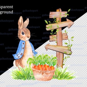 Blue Peter Rabbit in Garden Sublimation PNG Print, Greenery Digital ...