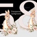 Peter Rabbit Numbers Clipart: Set of 10 Individual Beige Numeral ...