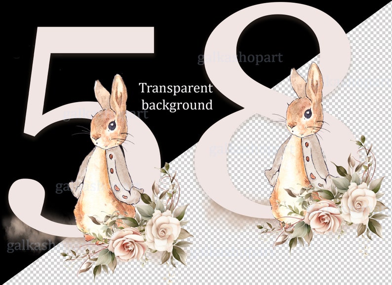 Peter Rabbit Numbers Clipart: Set of 10 Individual Beige Numeral ...