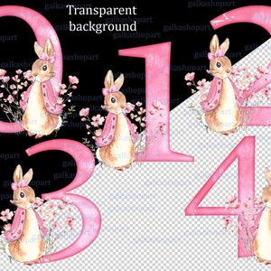 Peter Rabbit Pink Alphabet & Numeral Clipart PNG: 26 Watercolor ...