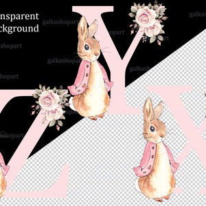 Peter Rabbit Light Pink Alphabet Clipart: Set of 26 Individual Letters ...