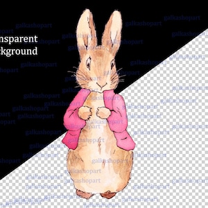 Peter Rabbit in Pink Jacket for Sublimation, Watercolor Clipart PNG ...