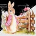 Flopsy Bunny Near Floral Fence Clipart PNG: Flower Sublimation Graphics ...