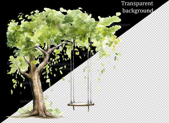 Albero Estivo Png