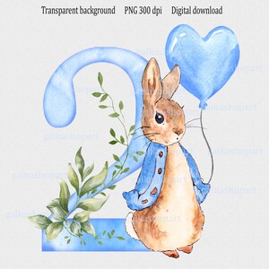 Peter Rabbit 2nd Birthday Balloon & Greenery Clipart: Watercolor ...