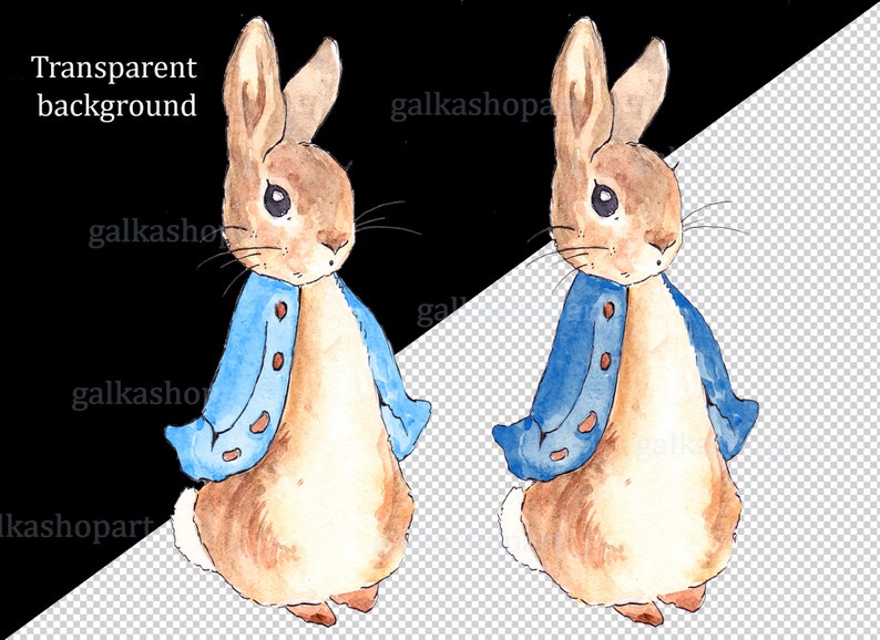 Peter Rabbit Clipart Bundle: Watercolor Flopsy Bunny and Other - Etsy UK