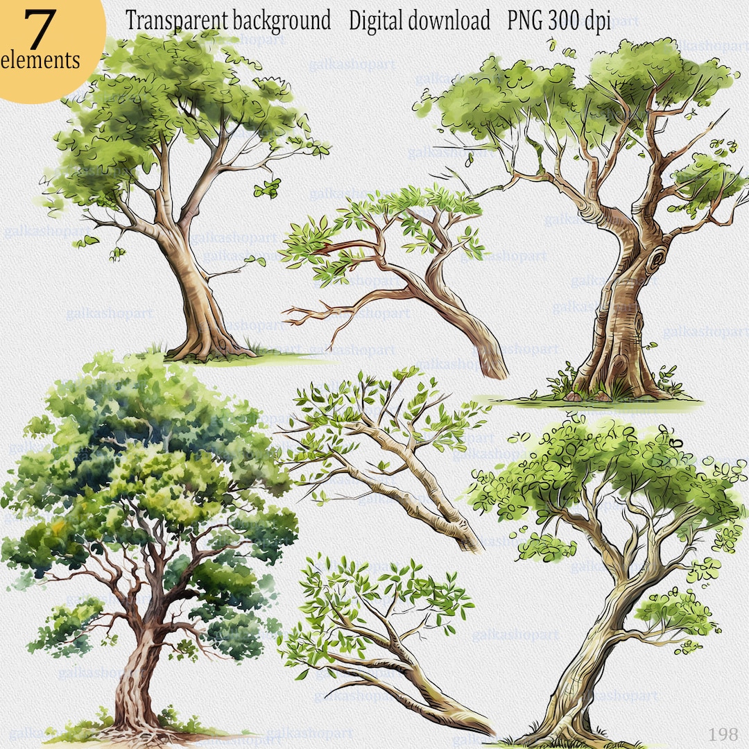 Watercolor Deciduous Trees and Forest Tree Branches Clipart Set: High ...