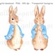 Flopsy Bunny Clipart, Peter Rabbit in Garden With Flowers, Watercolor ...