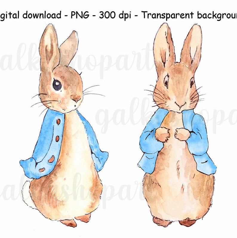 Peter Rabbit and Flopsy Bunny in Blue Jacket for Sublimation, A3 ...