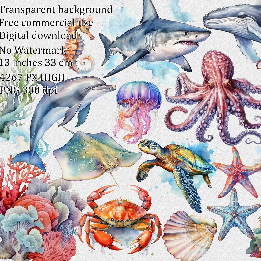 Undersea Watercolor Bundle: PNG Clipart Set - Octopus Jellyfish Whale ...