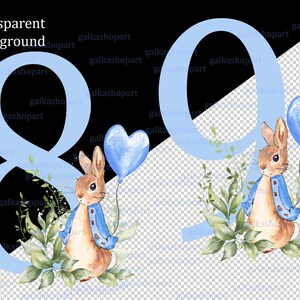 Peter Rabbit Blue Numeral Clipart: Set of 10 Individual Number With ...
