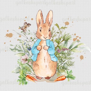 Blue Peter Rabbit Sublimation Design: Transparent PNG File, Greenery ...