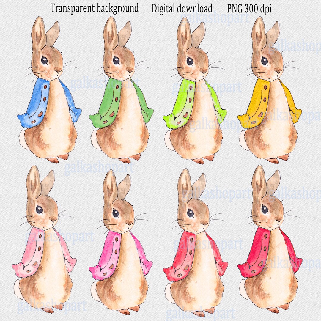 Flopsy Bunny in Blouses of Different Colors, Peter Rabbit Sublimation ...