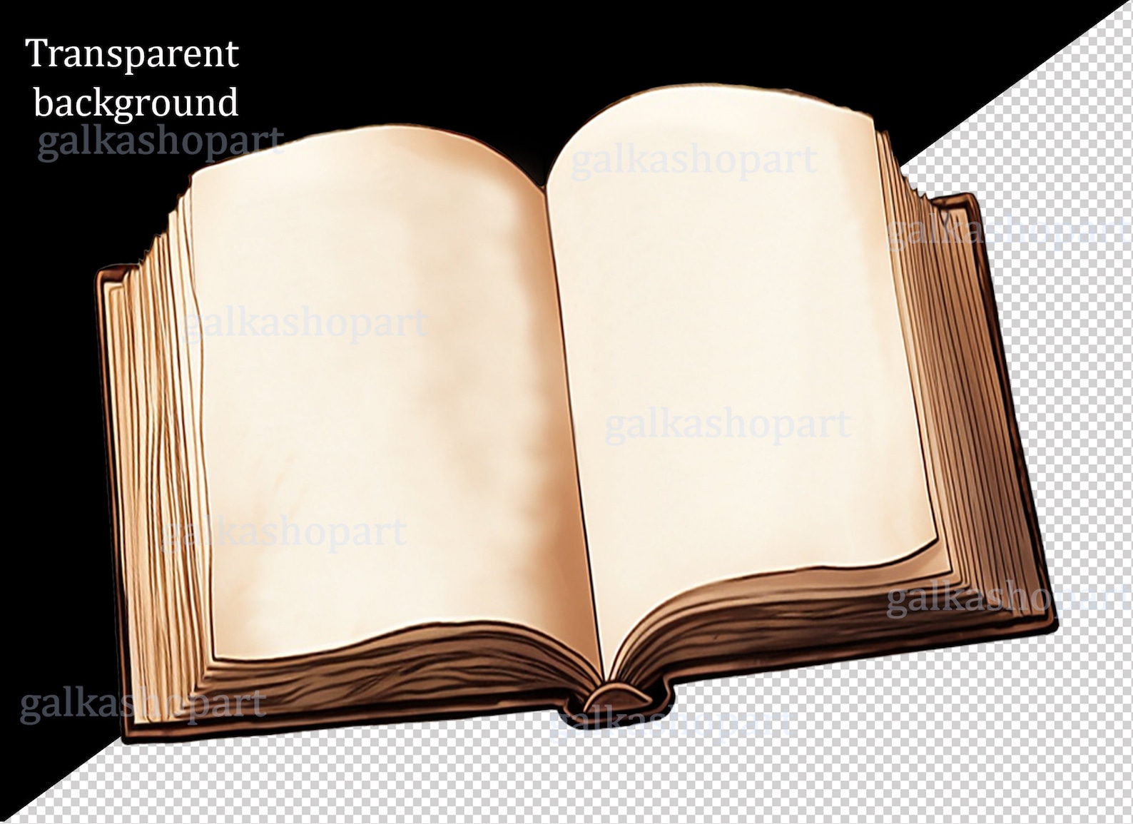 Vintage Open Books Clip Art: Set 5 Digital Antique PNG Images of Blank ...