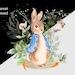 Clipart Peter Rabbit, Transparent PNG File, Greenery and Wildflowers ...