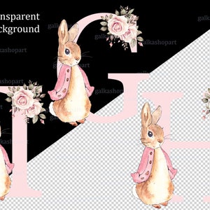 Peter Rabbit Light Pink Alphabet Clipart: Set of 26 Individual Letters ...