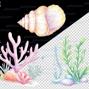 Sea Life & Mermaid Clipart PNG – Watercolor Ocean Animals, Glitter ...
