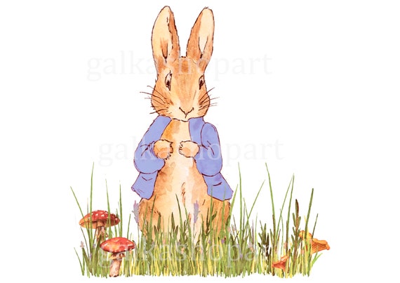 Clipart Peter Rabbit Transparent PNG File Grass With - Etsy