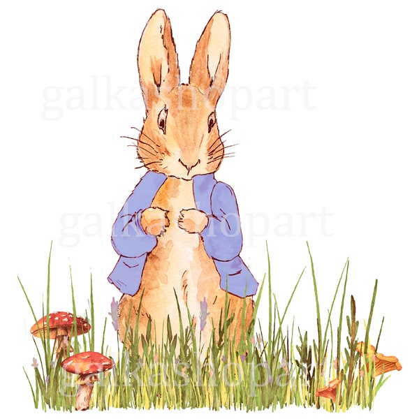 Peter Rabbit Transparent Png - Etsy