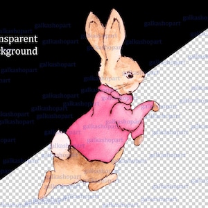 Peter Rabbit in Pink Jacket for Sublimation, Watercolor Clipart PNG ...