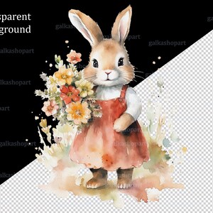 Floral Bunnies Watercolor PNG Clipart Set of 8: Graphics for Forest ...