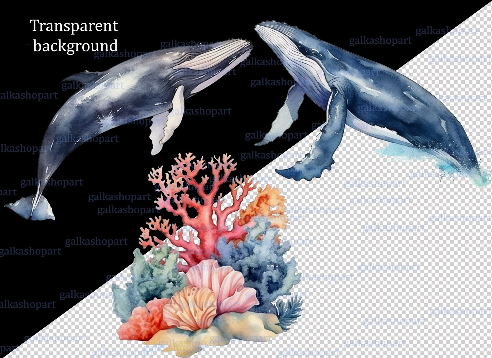 Watercolor Ocean Animals Clipart Set: Sea Life PNG Collection, Marine ...