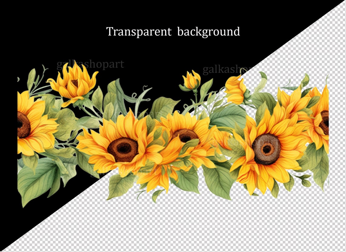 Sunflowers Border Clipart; Floral Frame PNG; Watercolor Flower Garland ...